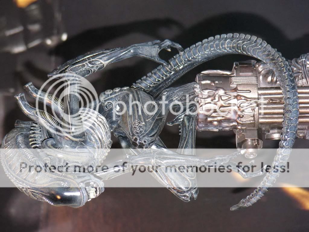 Is this Aliens Statue Rare?? - Statue Forum