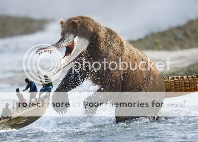 Land Animal FAce Off - Amps - Harmony Central