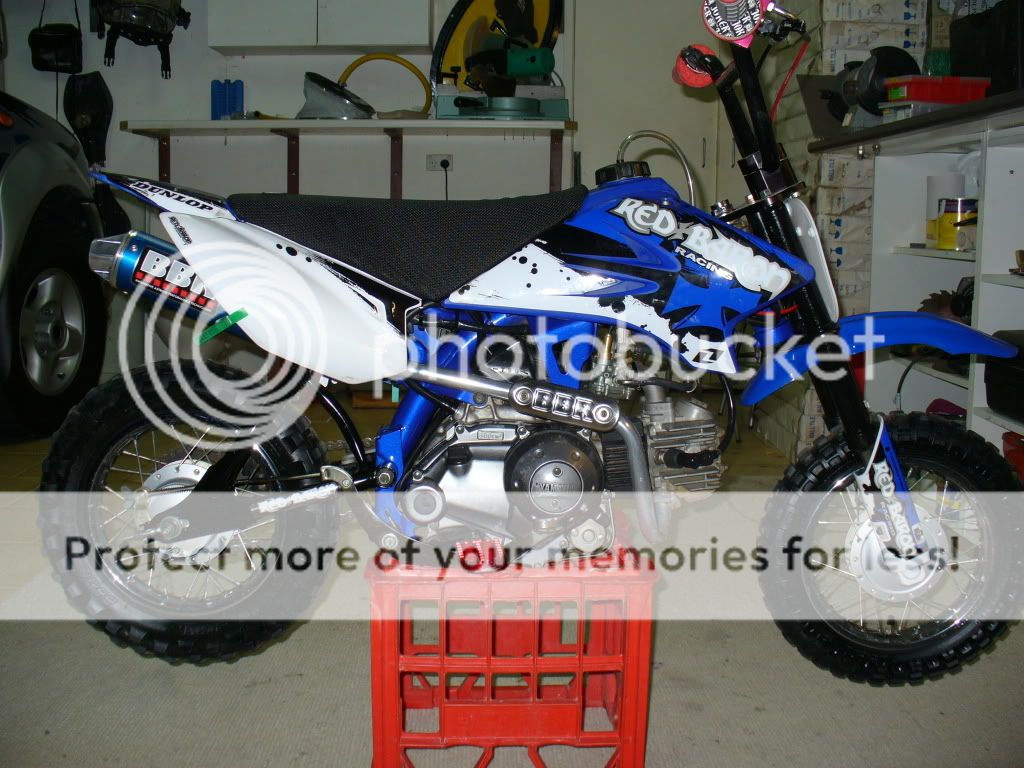 post your ttr50 pics | Page 4 | PlanetMinis Forums