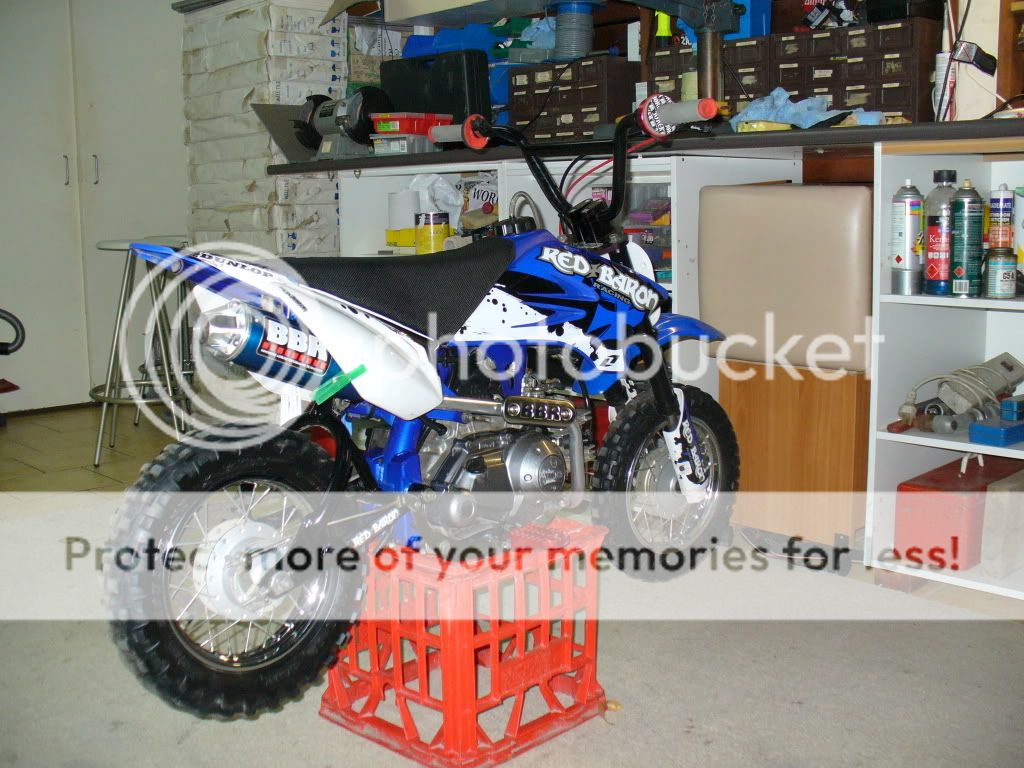 post your ttr50 pics | Page 4 | PlanetMinis Forums