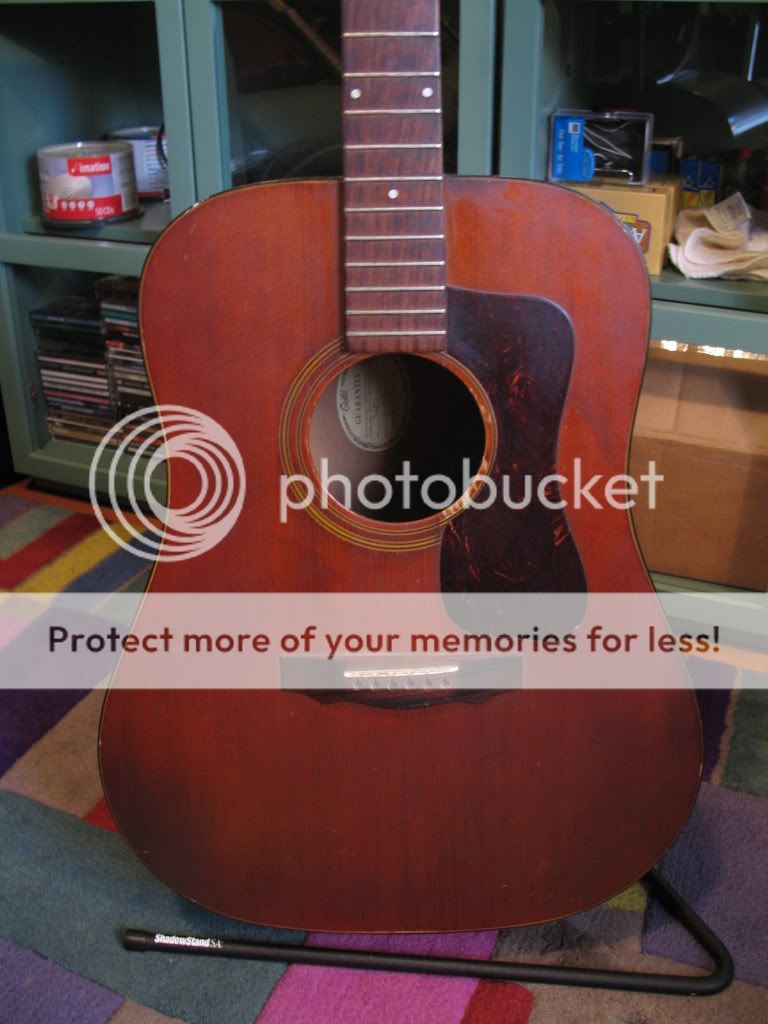 Anyone else dig Guild guitars as much as I do? - Electric Guitars ...