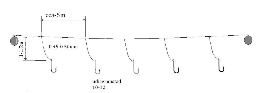 Pogledaj temu - Parangal