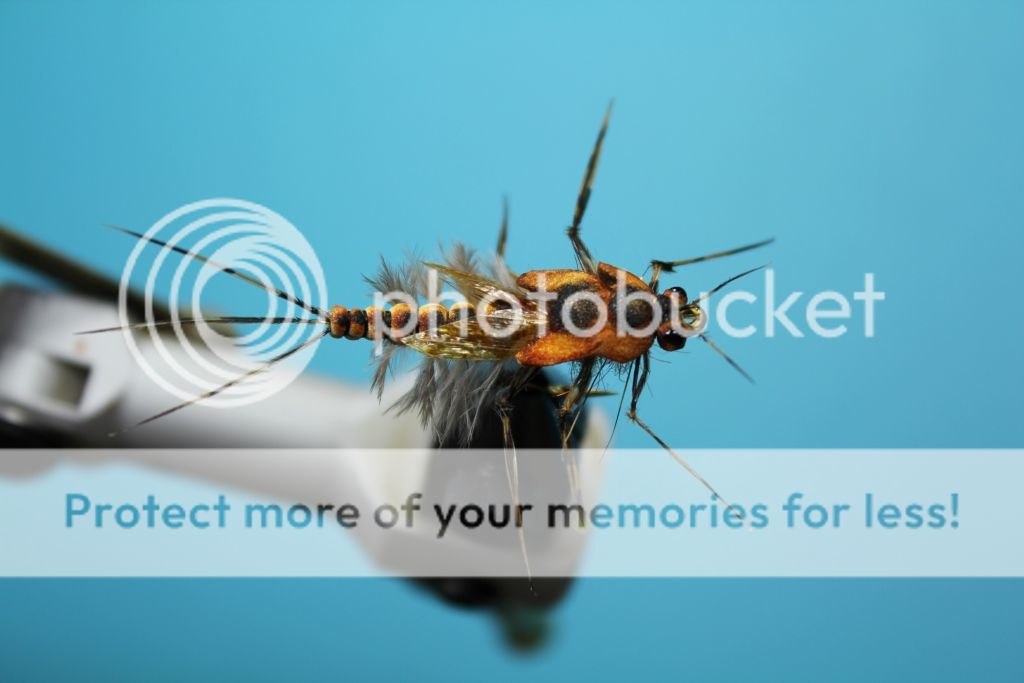 Articulate Burrowing Mayfly Nymph - Step by Step Patterns & Tutorials ...