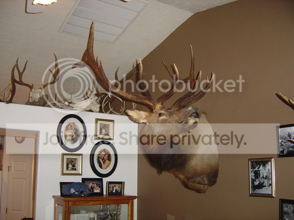 Elk Mount... | Hunt Talk